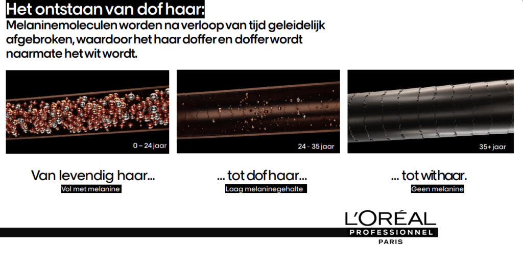 DIA COLOR - Salongoederen.nl